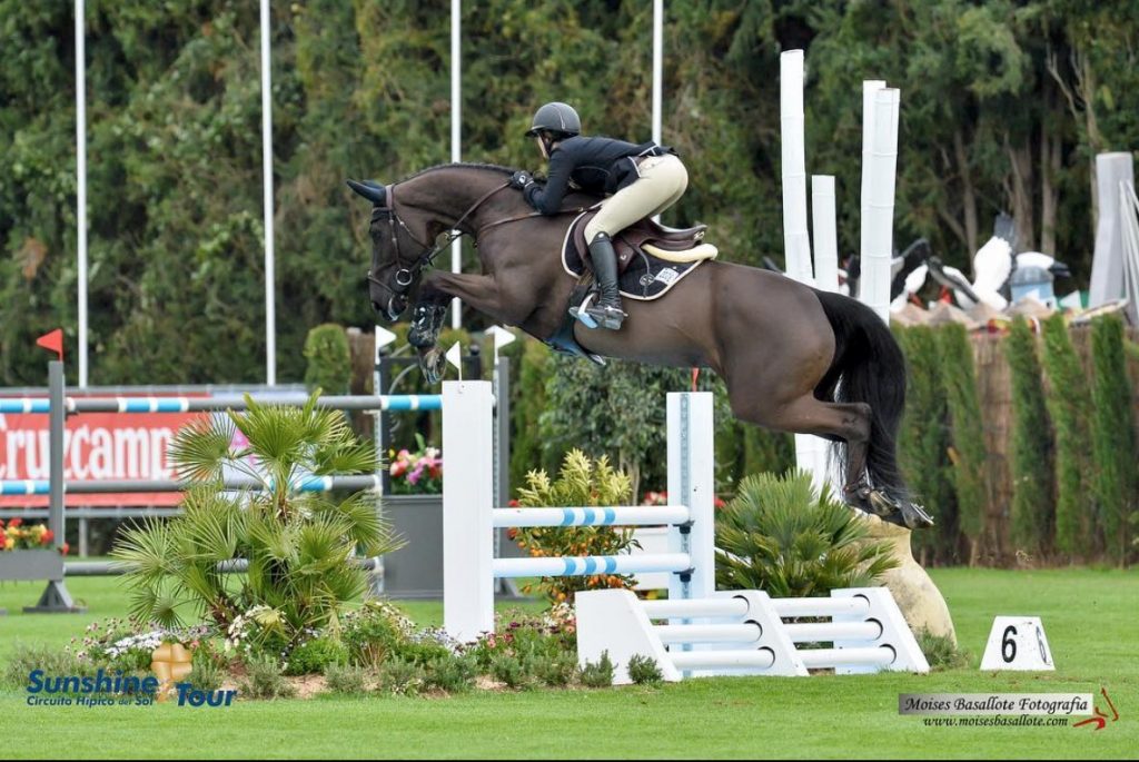 News – Reed Kessler